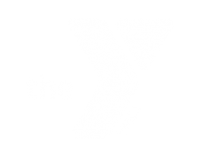 Camp Fitch YMCA – YMCA Summer Camp